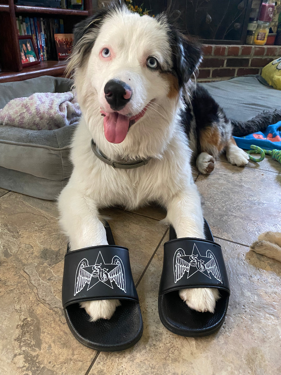 Cozy Collection – StandardGang